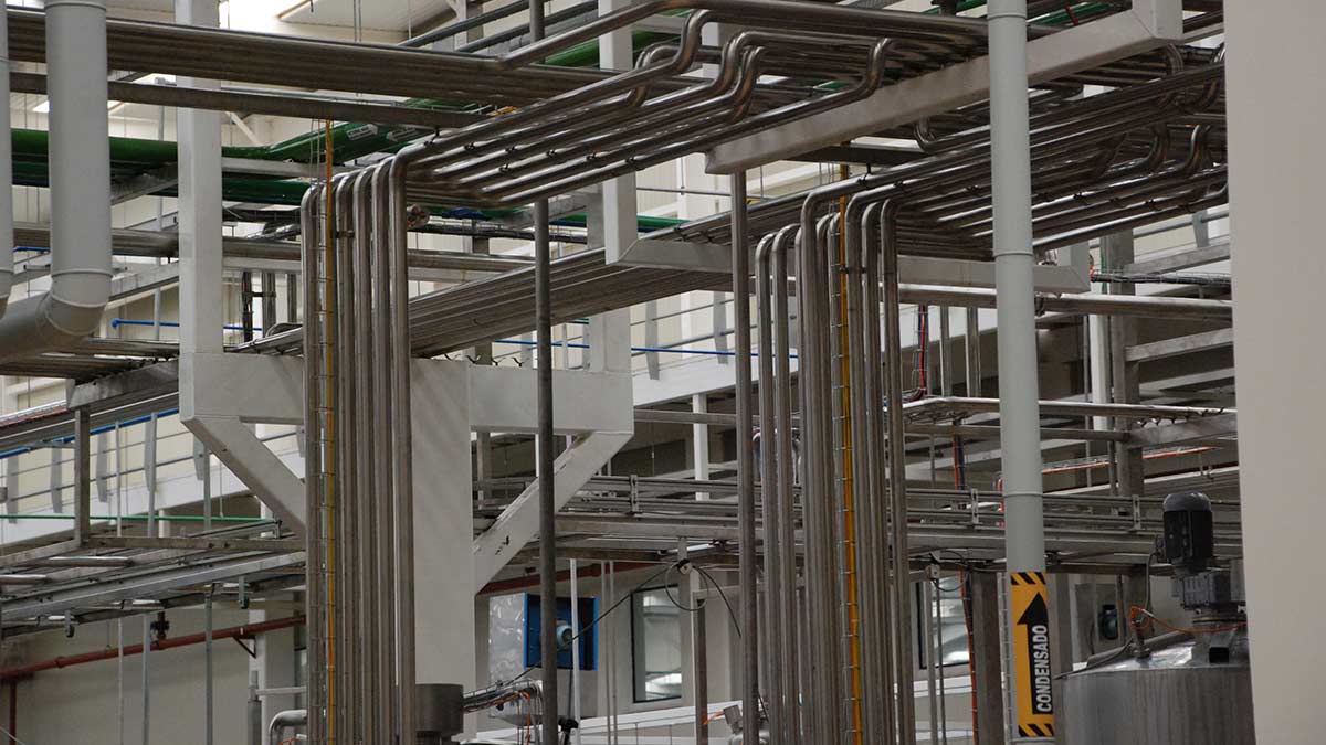 Presentación de servicios - IPPPSA